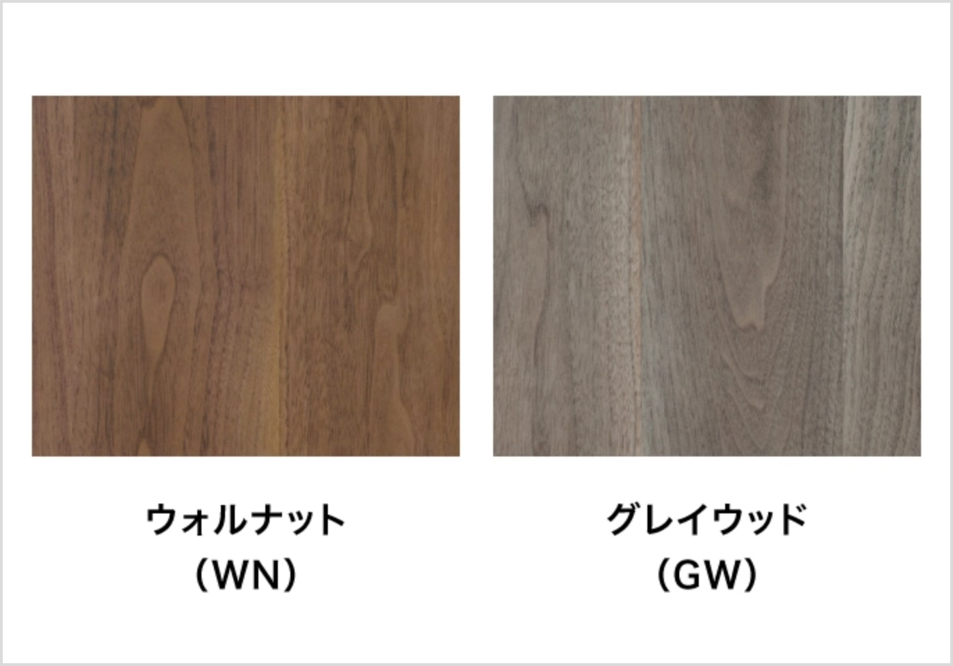 color-sp | lb1000store